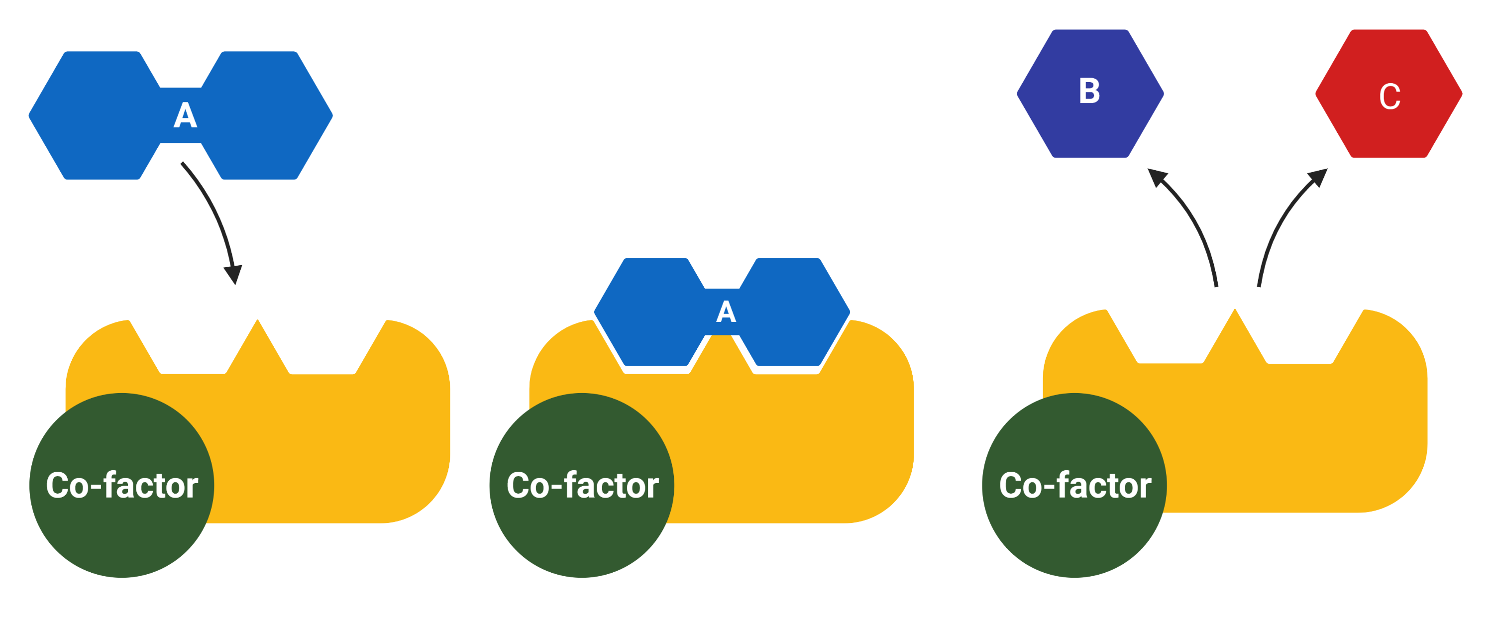 Positieve neonatale hielprikscreening - Patiëntenfolder - Erasmus MC