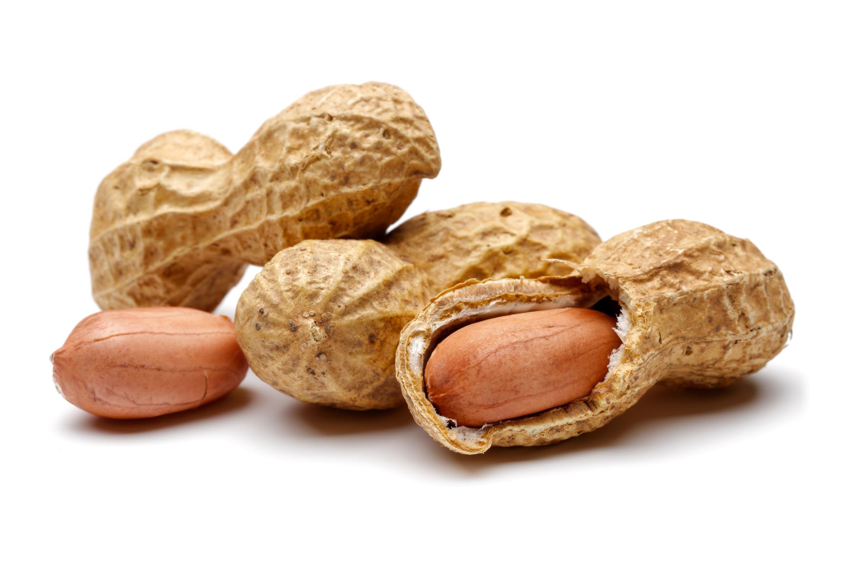 Introductie pinda bij kinderen - Patiëntenfolder - Erasmus MC