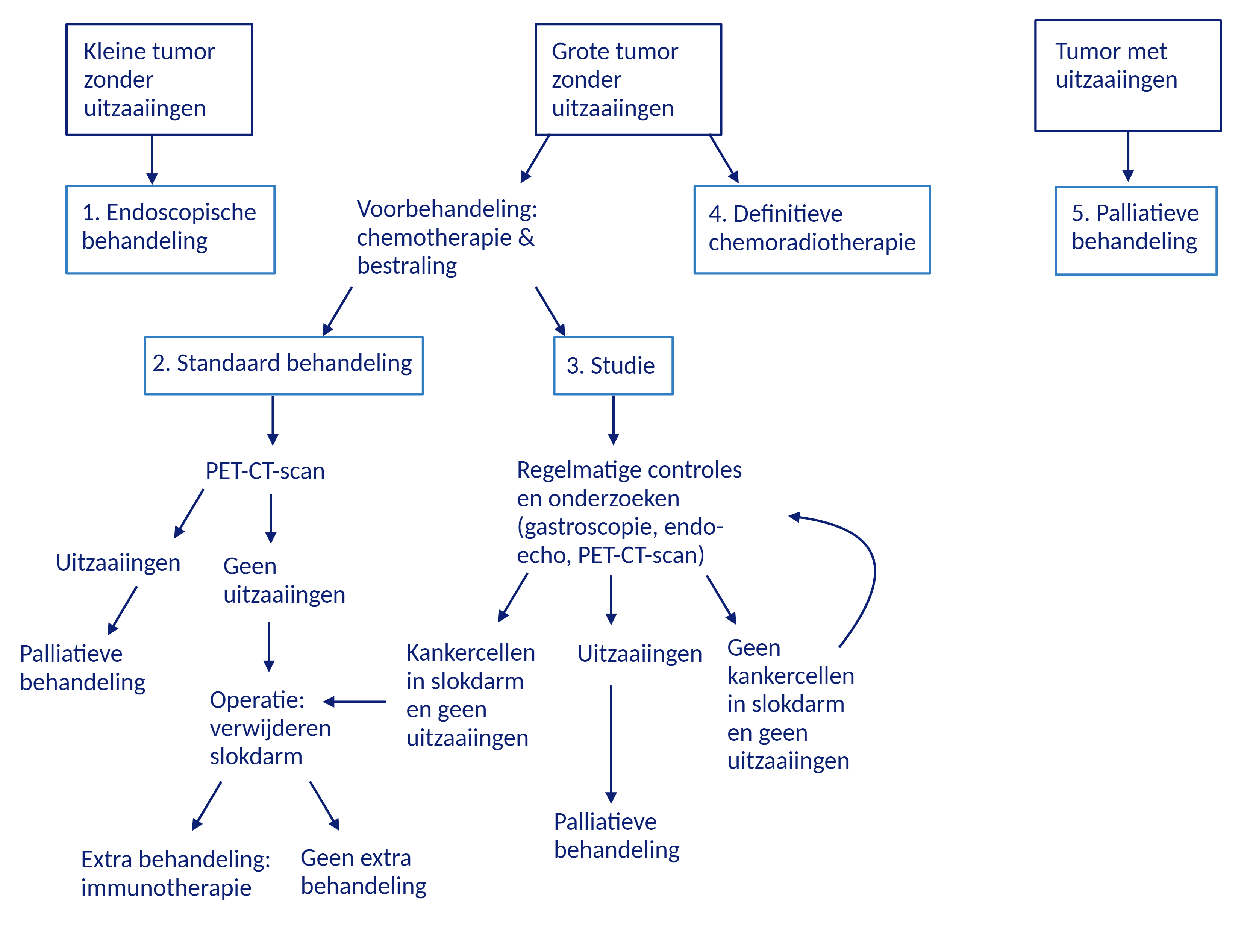 Slokdarmkanker - Patiëntenfolder - Erasmus MC