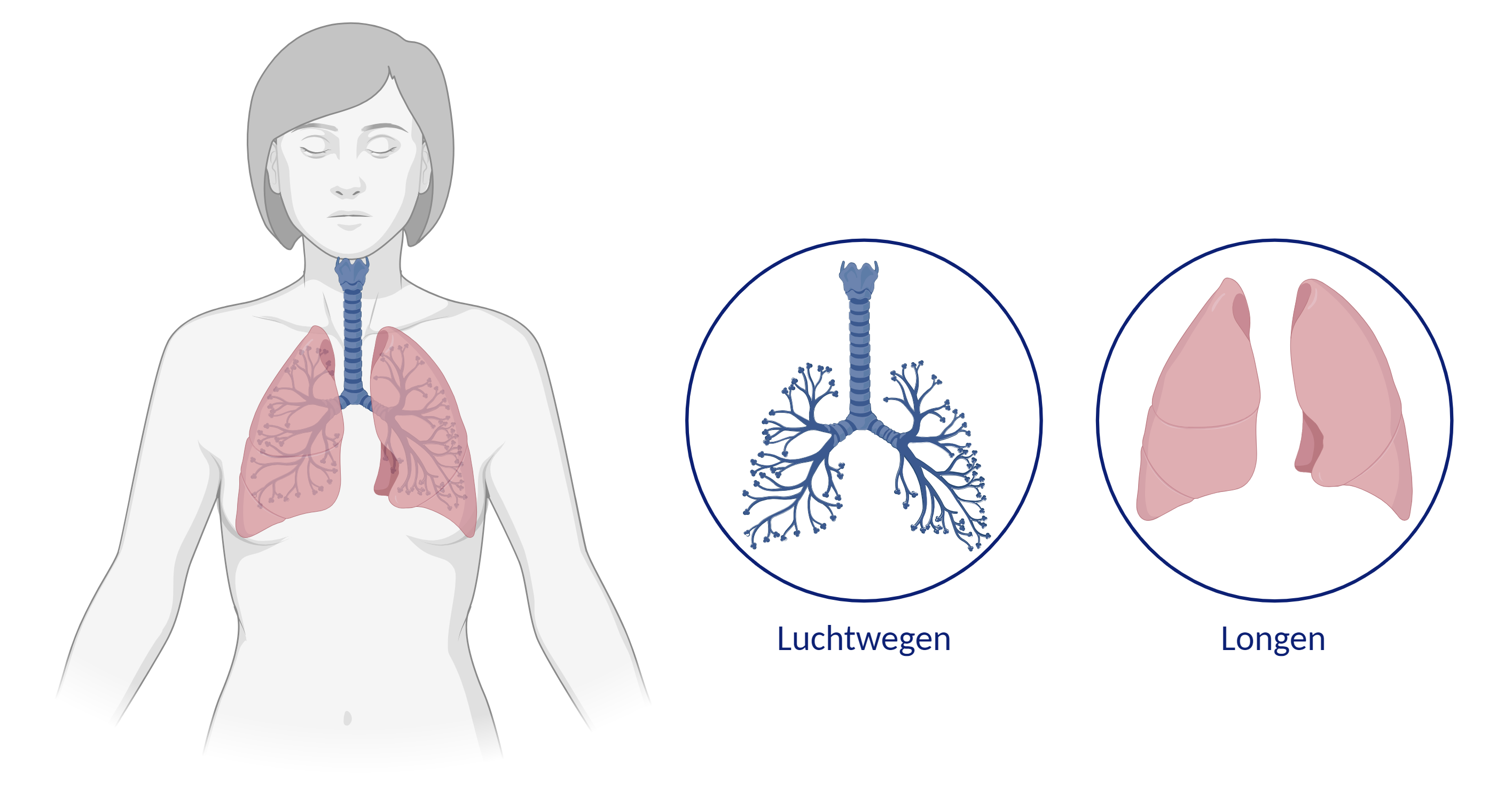 Verneveling met hypertoon zout - Patiëntenfolder - Erasmus MC