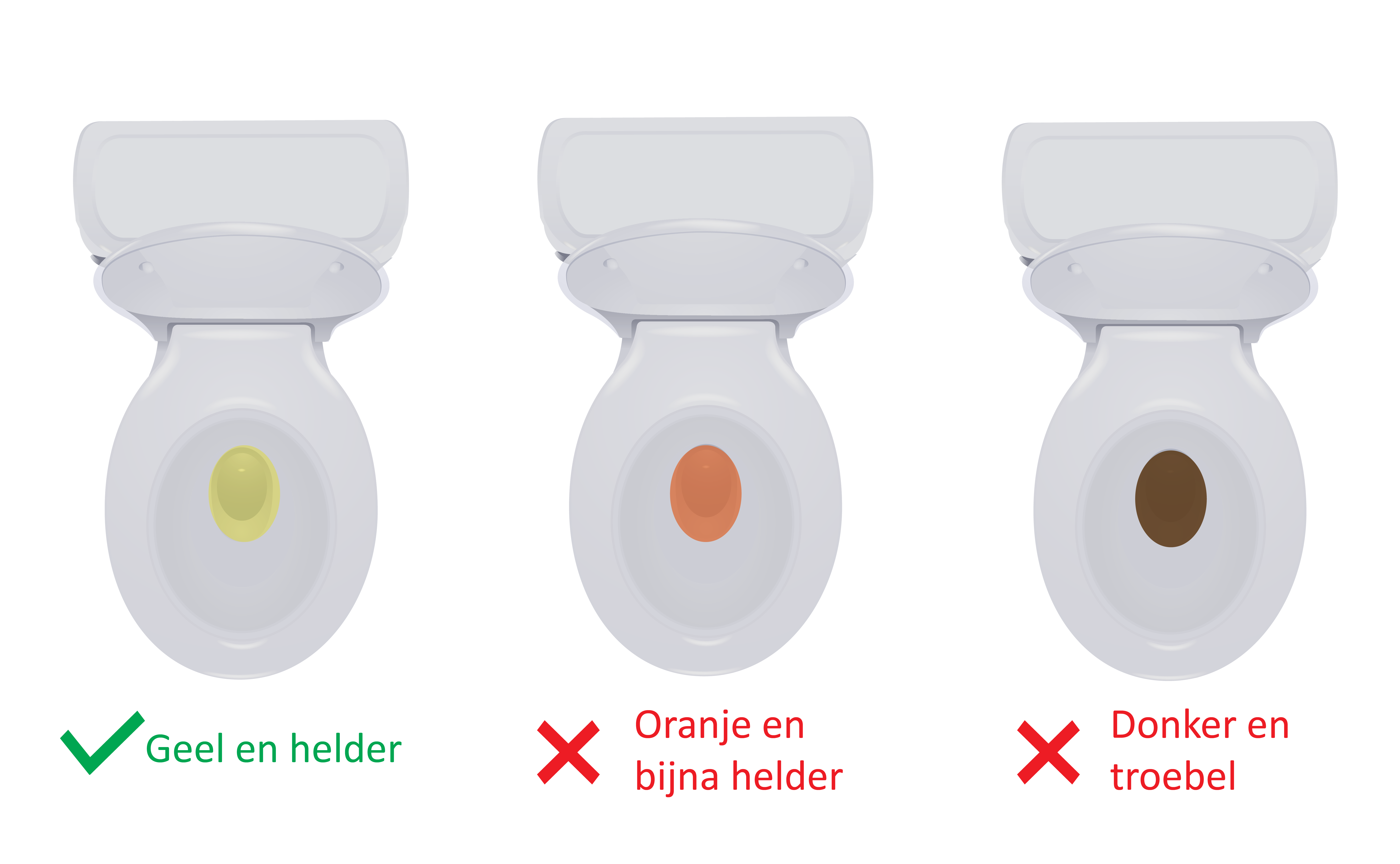 Colonoscopie voorbereiding met Pleinvue - Patiëntenfolder - Erasmus MC