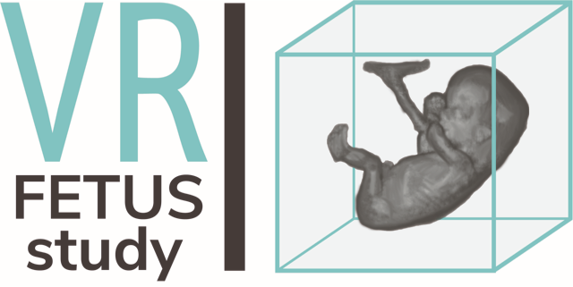 Virtual Reality Fetus Study 2.0 - Patiëntenfolder - Erasmus MC